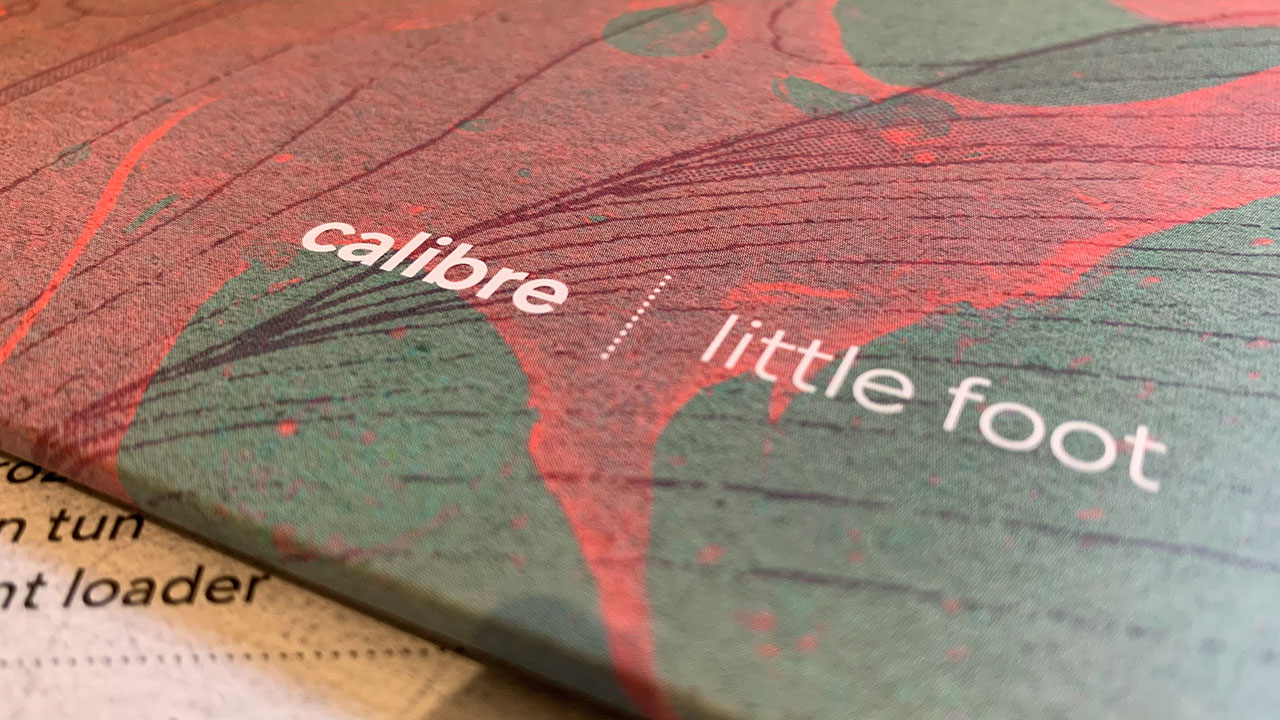 Calibre. Little Foot album. - Magnet Studio
